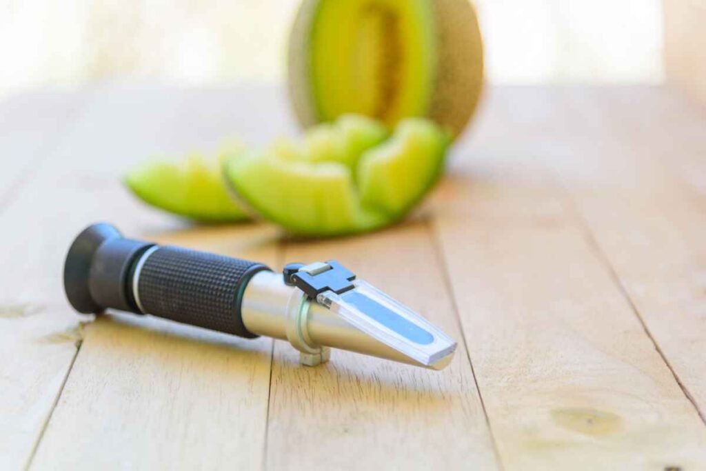 Óptimos Grados Brix en Uva para Vino ¡Descúbrelos!